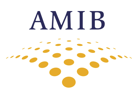 Simulador AMIB